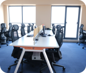 Company Leadership – Agile Infoways CEO, Directors & Team Management